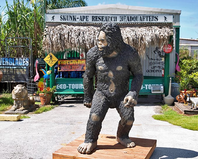 Welcome to cryptid central! The Skunk Ape Research Headquarters stands proud with its thatched roof and imposing Bigfoot statue, Florida's answer to Sasquatch tourism.