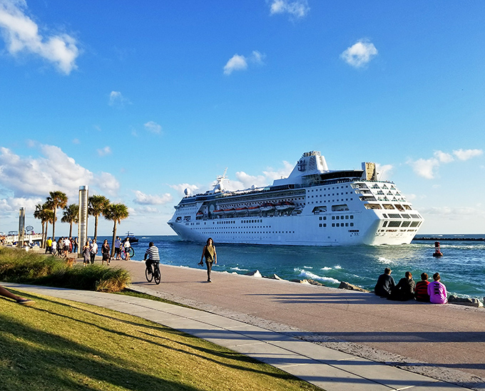 Where cruise ships play a game of "who's the fanciest?" against Miami's skyline. Nature's theater, admission free.