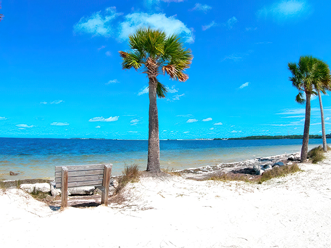 Paradise found: Where palm trees stand sentinel over pristine white sands and the Gulf stretches endlessly blue.