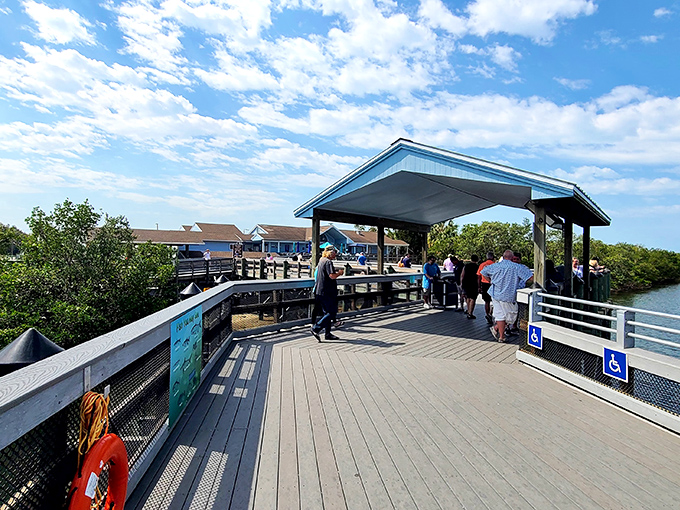 The entrance boardwalk stretches toward manatee paradise, where industrial meets natural in Florida's most unexpected wildlife sanctuary.