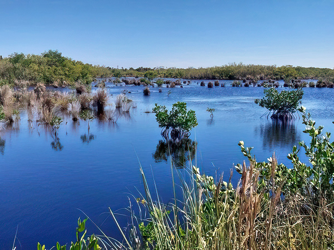 Welcome to your new favorite maze, where getting lost is actually the whole point and the scenery makes every wrong turn feel right.