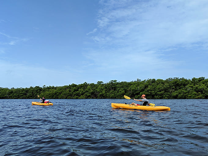 Your floating chariot awaits in waters so clear you'll question if you're actually in Florida or some tropical postcard.