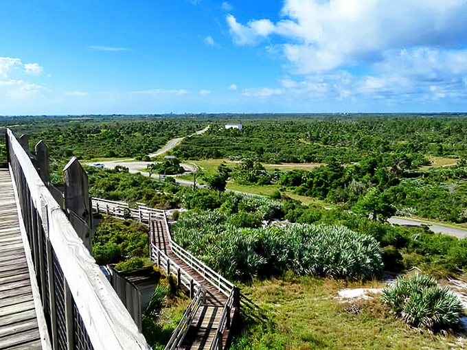 A sweeping vista of untamed Florida wilderness, where 11,500 acres of pristine landscape stretch toward the horizon like nature's welcome mat.