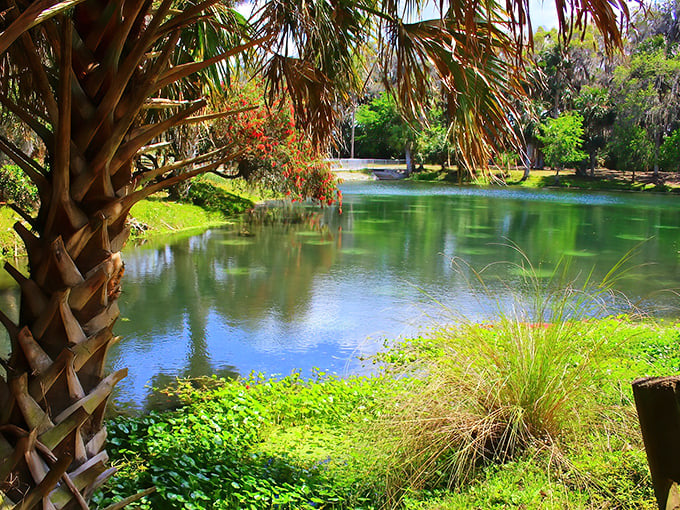 The emerald waters of Spring-to-Spring Trail glisten like liquid jade, nature's own infinity pool nestled among Florida's lush landscape.