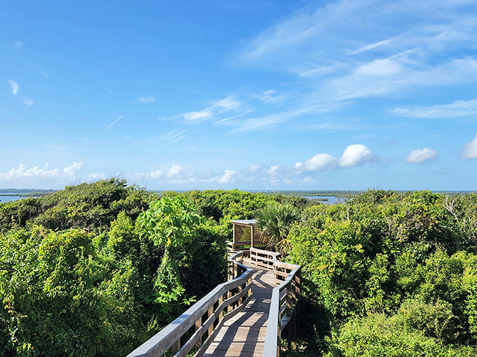 Standing atop this ancient shell midden feels like touching history, except the history is made entirely of oyster shells and offers killer views.