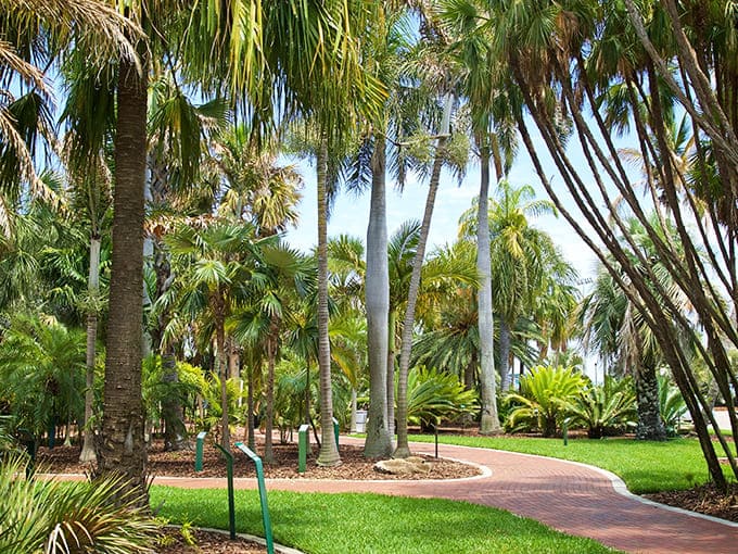 Welcome to your tropical escape where over 500 palm varieties create a canopy of green serenity right in St. Petersburg.