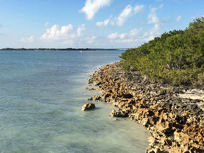 Where turquoise waters meet historical intrigue &ndash; Indian Key's shoreline invites explorers to step back in time.
