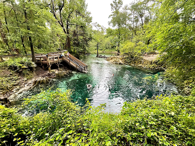 Welcome to Madison Blue Spring State Park, where Mother Nature shows off with a swimming hole that puts fancy resort pools to shame.