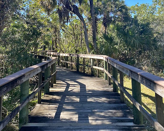 Wooden boardwalks wind through Florida's wild side, inviting explorers to discover what lies beyond each gentle curve.