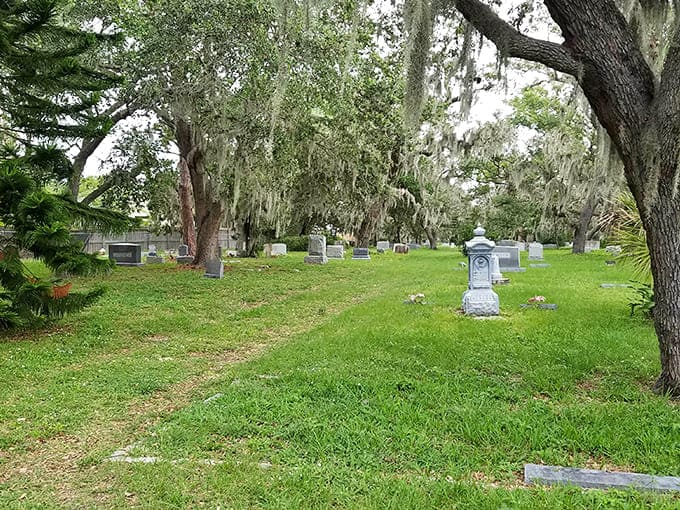 Ancient oaks create a natural cathedral over Georgiana Cemetery, their sprawling branches offering shade and serenity that money can't buy.
