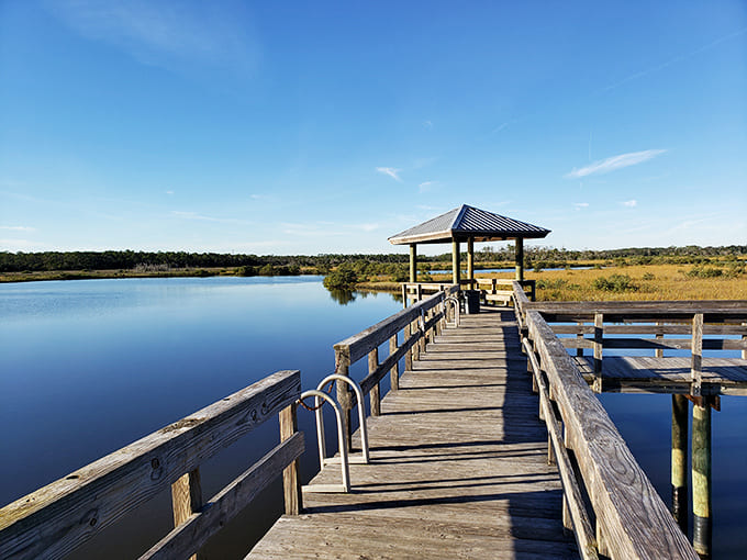 That boardwalk stretching into the distance is basically nature's way of rolling out the red carpet for your next adventure.
