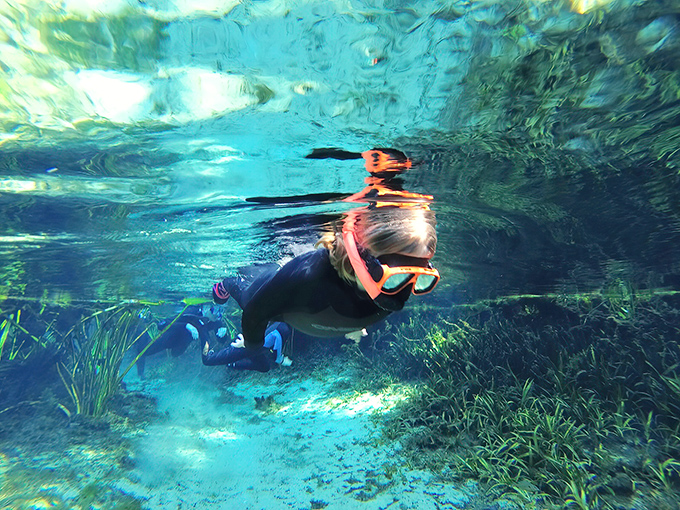 Beneath the surface at Alexander Springs, a snorkeler glides through water so clear it seems like flying through liquid sky.