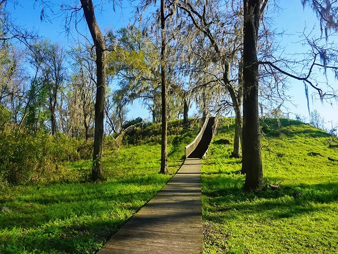 That wooden walkway leading up the mound looks like a stairway to ancient secrets, or at least a really good workout for your glutes.