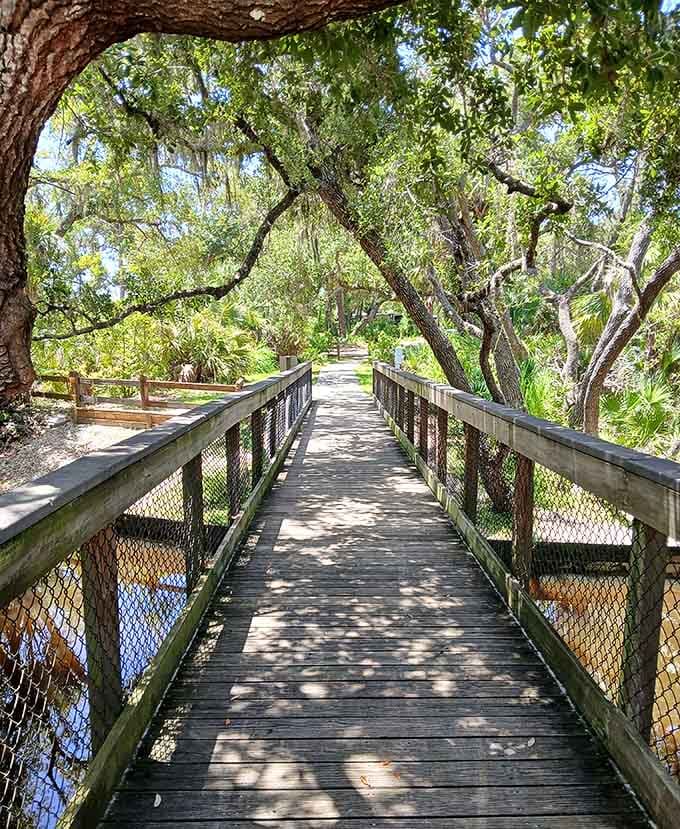 Welcome to your new favorite escape, where Spanish moss and sunshine conspire to make you forget about everything waiting in your inbox.