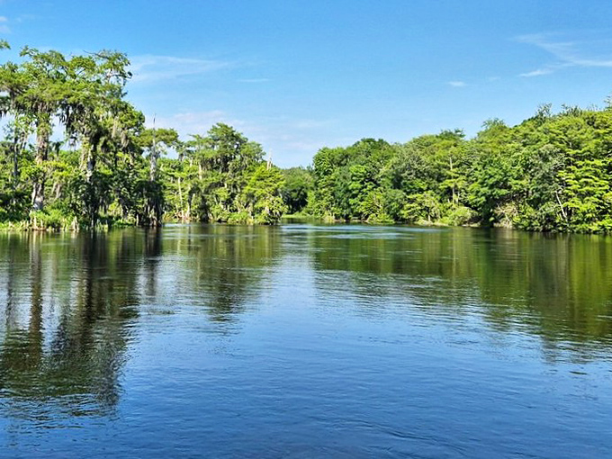 Wakulla Springs' crystal-clear waters reflect the lush canopy above &ndash; Mother Nature's mirror showing off both her faces at once.