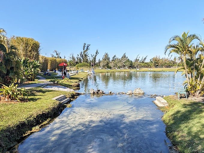 Warm Mineral Springs: Where Mother Nature decided to create her own spa day, complete with healing waters and zero waiting lists.