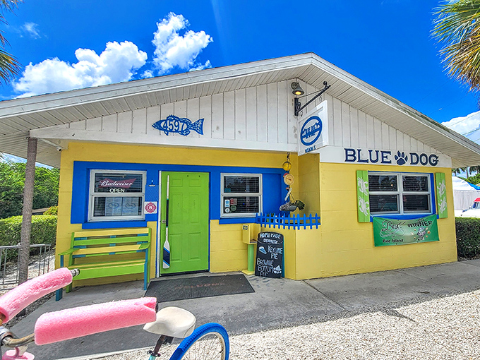 The sunshine-yellow exterior with electric blue trim and lime green door makes Blue Dog Bar & Grill impossible to miss in Matlacha's colorful landscape.