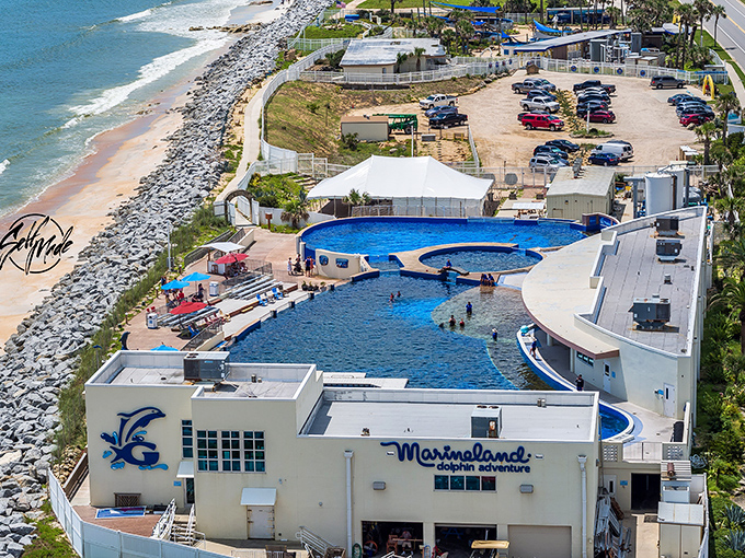An aerial view of Marineland reveals its perfect positioning between Atlantic waves and A1A, Florida's scenic coastal highway.