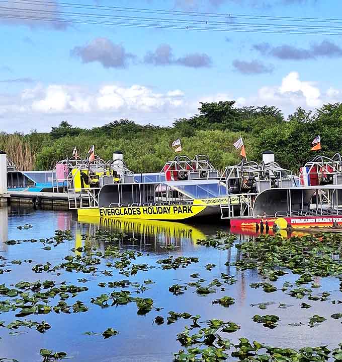 Multiple airboats rest peacefully at their moorings, their massive propellers silent for now but ready to roar back to life at a moment's notice.