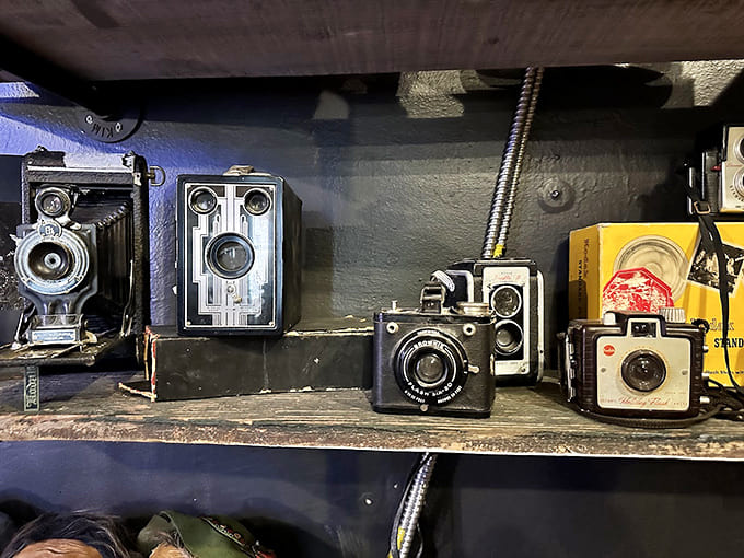 Vintage cameras that captured moments now long past, still watching with their mechanical eyes.