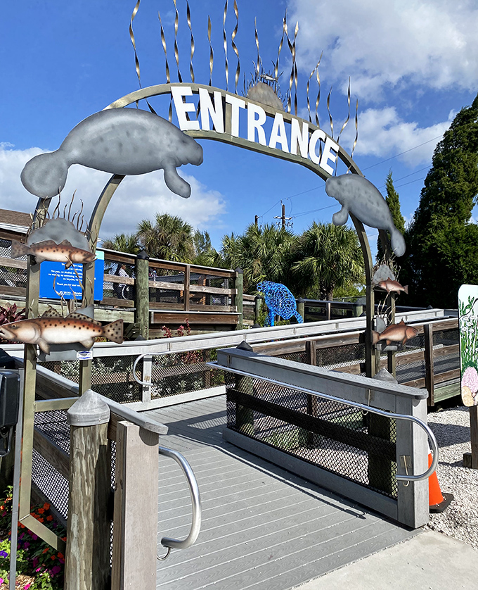 Manatee sentinels guard the entrance arch, their metal forms a playful preview of the real gentle giants floating just beyond.
