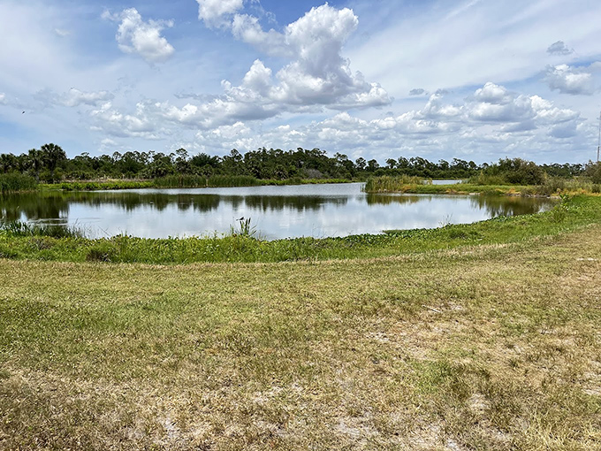 Mother Nature's reflecting pool puts hotel versions to shame. No chemicals needed, just pure Florida magic capturing clouds.