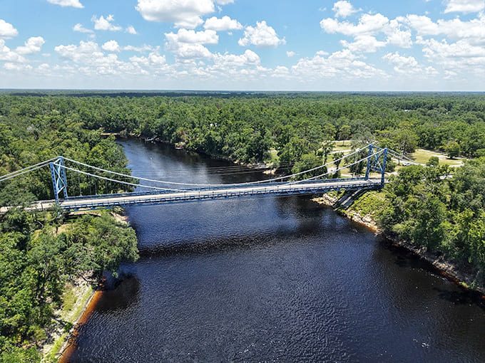 From the air, you can see how the bridge connects not just two banks but two communities, two ecosystems, two sides of the same story.