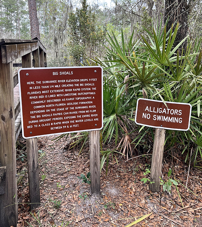 "Alligators No Swimming" &ndash; three words that perfectly capture Florida's unique blend of natural beauty and prehistoric peril.
