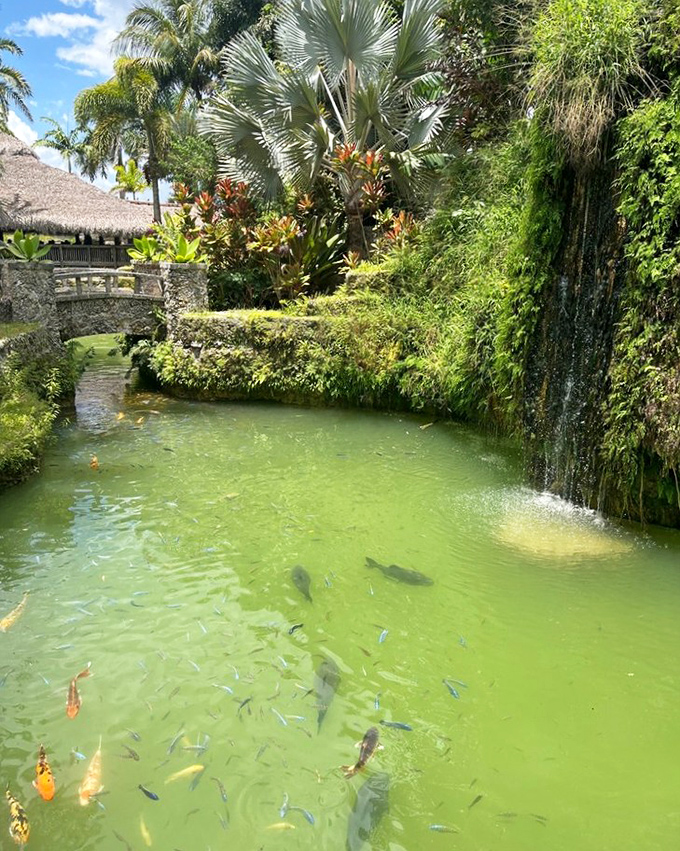 The emerald waters of the koi ponds reflect the lush tropical landscape, creating a serene atmosphere throughout the property.