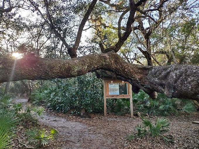 Trail markers guide you through landscapes that change with every season, proving that the same path never offers the same experience twice.