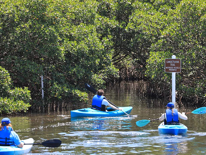 Mangrove Kayaking at Narrow Water Trail: Following nature's breadcrumb trail through mangrove tunnels &ndash; social distancing at its most beautiful.