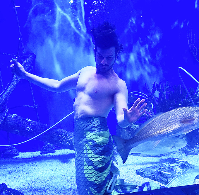 When your LinkedIn says "Financial Analyst" but your heart says "Professional Merman with Exceptional Underwater Hair Volume."