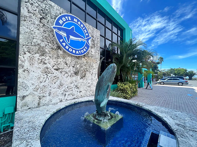 The facility's exterior welcomes visitors with marine-themed sculptures and landscaping that sets the aquatic mood immediately.