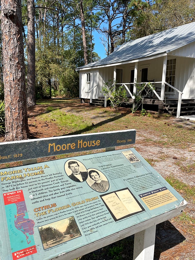The Moore House offers a glimpse into middle-class family life when "screen time" meant sitting on the porch behind mosquito netting.