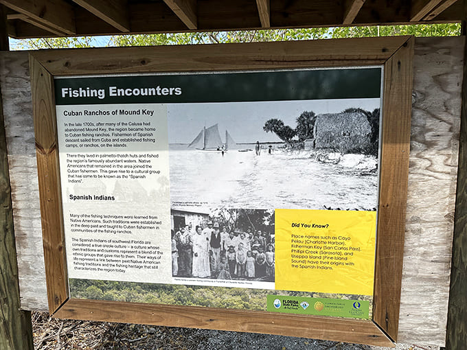 History lessons are way more interesting when they involve fishing techniques and ancient civilizations who knew their seafood.