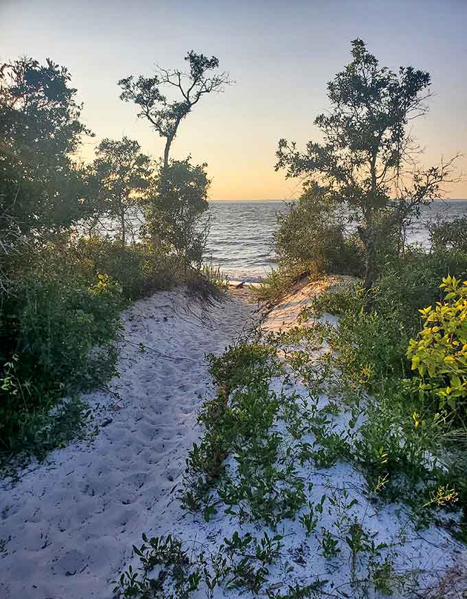 Sandy paths through coastal vegetation lead to the beach, building anticipation with every step toward the water.