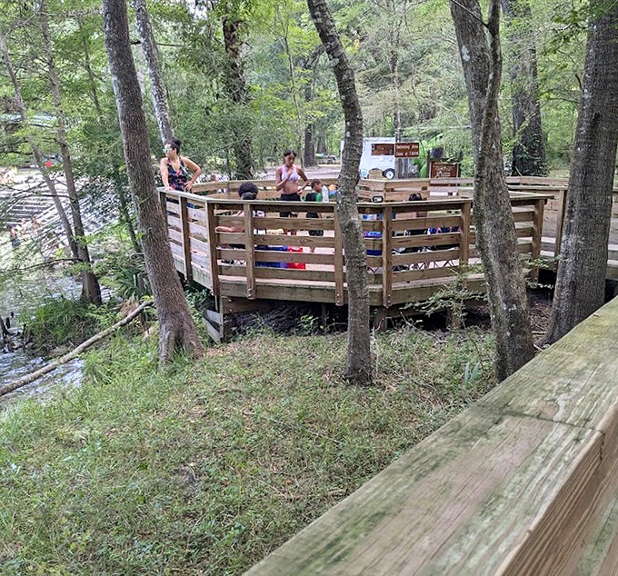 The observation deck offers front-row seats to nature's aquatic theater, where underwater scenes unfold with crystal clarity.