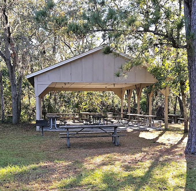 This picnic pavilion has witnessed more "oohs" and "aahs" over sandwich unwrappings than any five-star restaurant in the state.