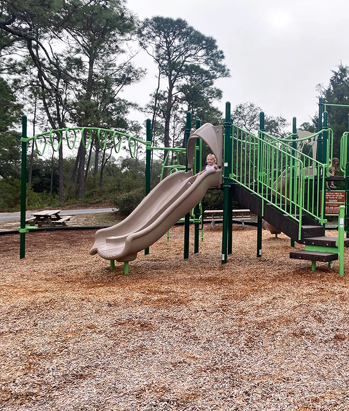 Childhood joy doesn't need batteries here &ndash; just gravity, a slide, and the timeless sound of laughter echoing through pine forests.
