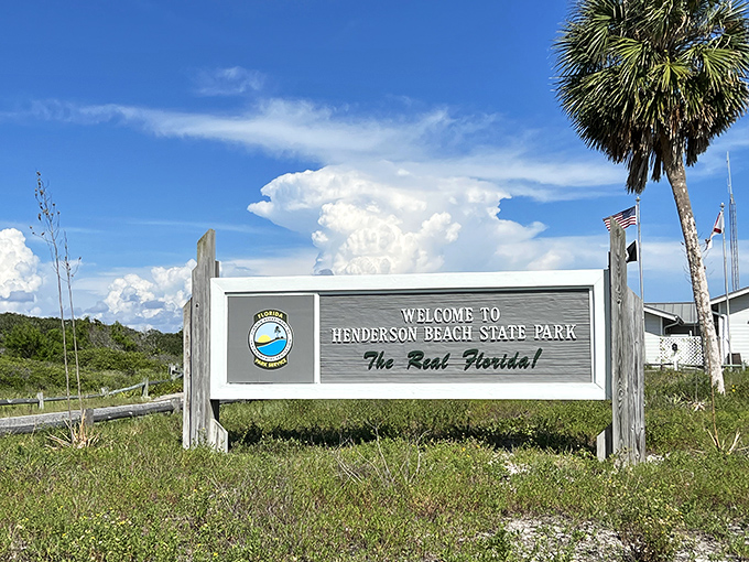 "The Real Florida" isn't just marketing speak &ndash; it's sugar sand, emerald waters, and zero theme park characters asking for photos.