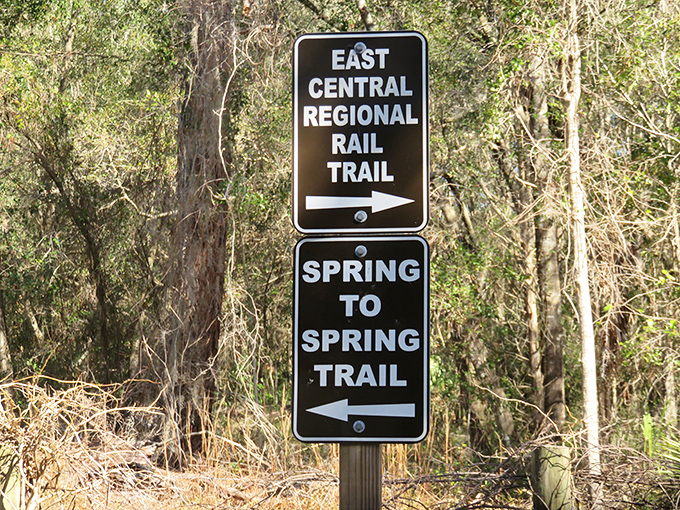 Trail signs point the way, but the real directions are written in rustling leaves and dappled sunlight.