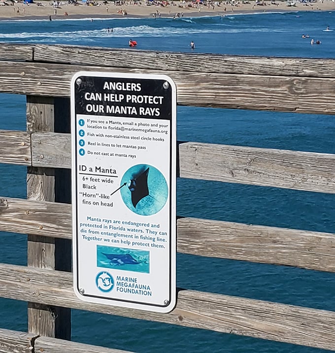 Educational signage reminds anglers to protect endangered manta rays, blending recreation with conservation in this marine paradise.