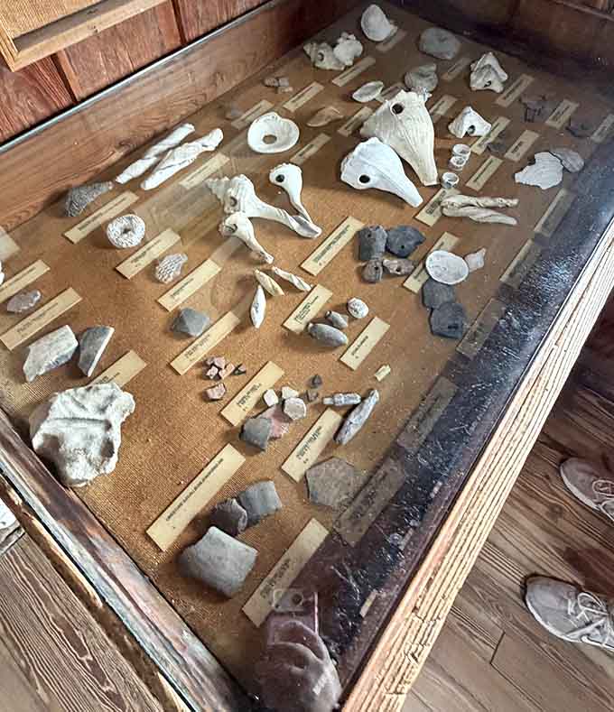 Fossils and artifacts prove that Florida's been weird and wonderful for a very, very long time, predating even the earliest theme parks.