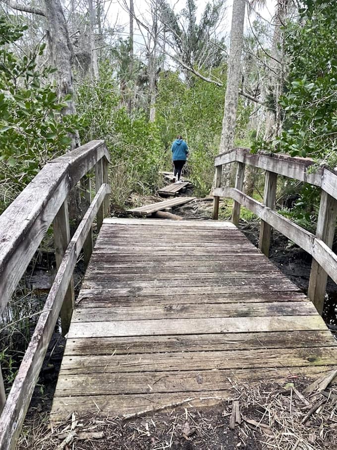 Wooden walkways wind through the landscape, proving that sometimes the journey really is better than the destination.