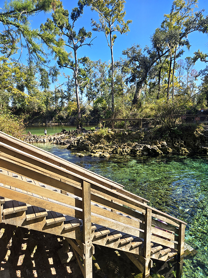 The wooden stairway invites visitors into waters so blue and inviting that even the most dedicated land-lovers reconsider their position.
