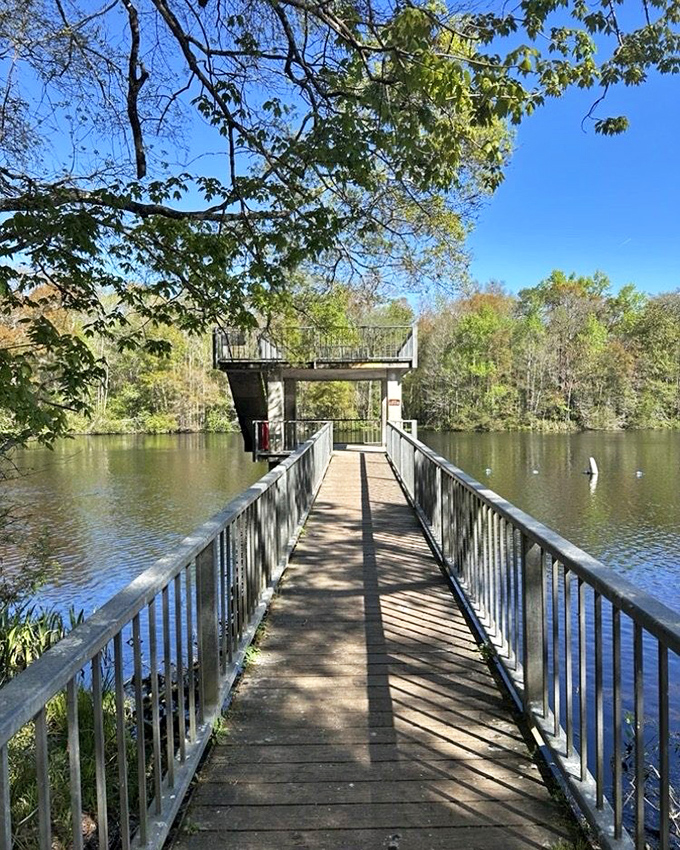 The swimming pier extends like an invitation into waters so clear you'll wonder if someone secretly installed glass beneath the surface.