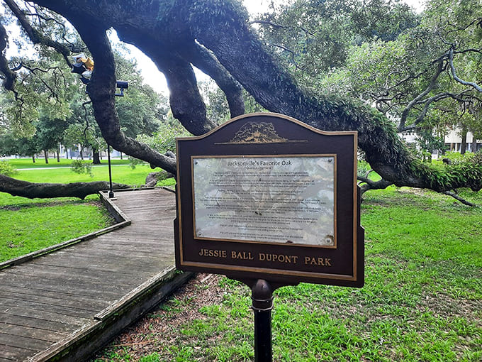 This sign tells you what you're looking at, but honestly, the tree does most of the talking.