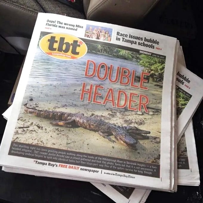 The headline that launched a legend &ndash; "DOUBLE HEADER" splashed across Tampa Bay's free daily newspaper sparked gator-mania.