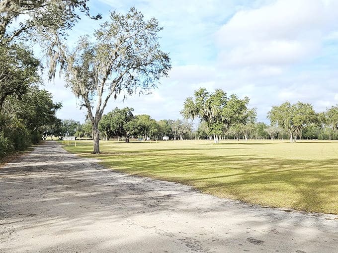 Open spaces perfect for activities that require room to breathe and maybe throw a frisbee.
