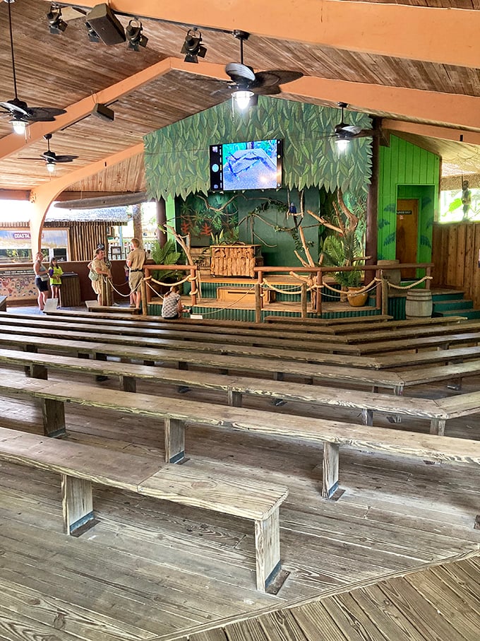 The rustic amphitheater hosts educational presentations where visitors learn about reptile behavior, conservation efforts, and the ecological importance of these ancient creatures.